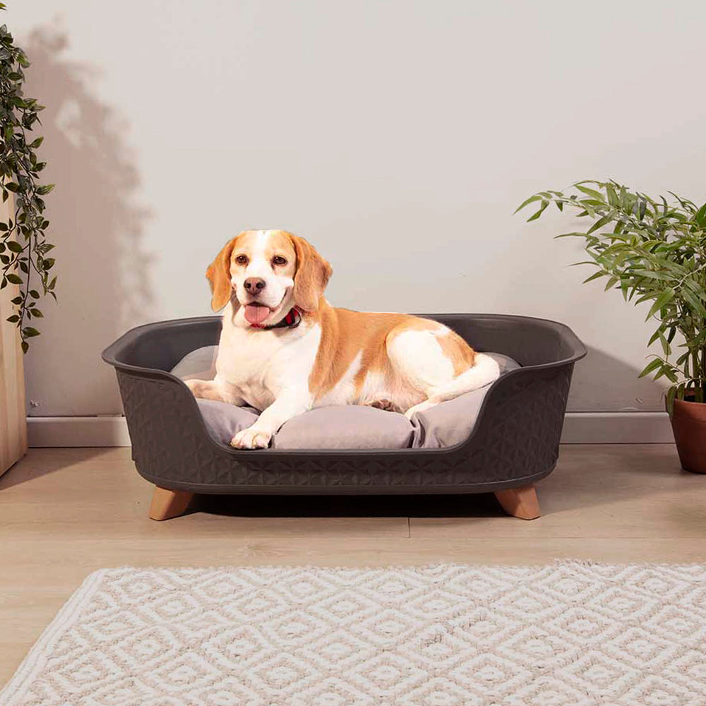 Elegantes Pet Gentle Kaufen Ebenbild